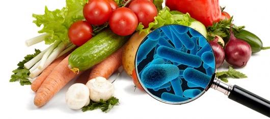 Da NASA ao prato – O Sistema HACCP