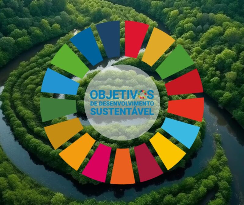 2024 no caminho da Sustentabilidade: Certificações ISO, Agenda 2030 e ...